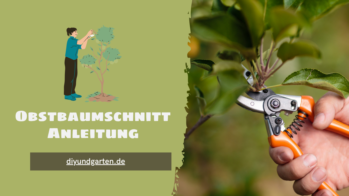 Obstbaumschnitt Anleitung: Tipps für eine reiche Ernte